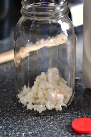How to Make Milk Kefir and a Fruit Smoothie Recipe ⋆ Savvy Saving Couple